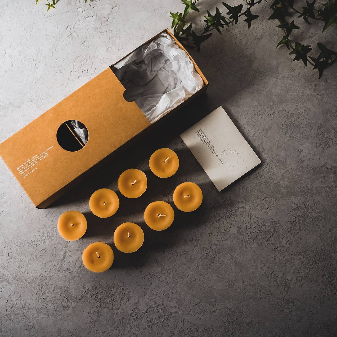 ORGANIC BEESWAX VOTIVE CANDLES | MUSE AGORA – Muse Agora